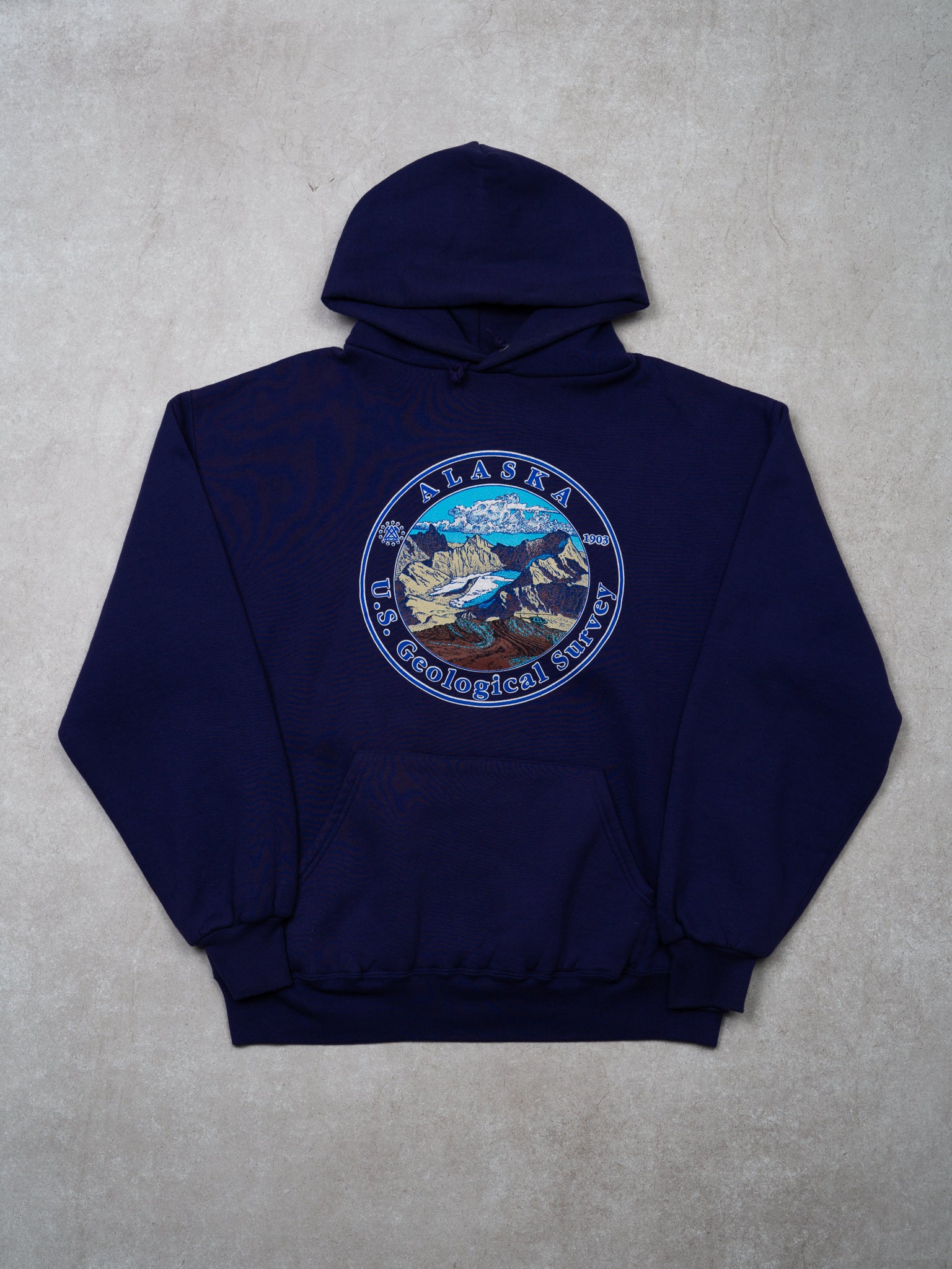 Vintage 90s Purple Alaska U.S Geological Survey Hoodie (L) – Rebalance ...